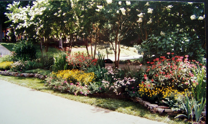 Designing and Creating a Sun-Loving Perennial Flower Bed