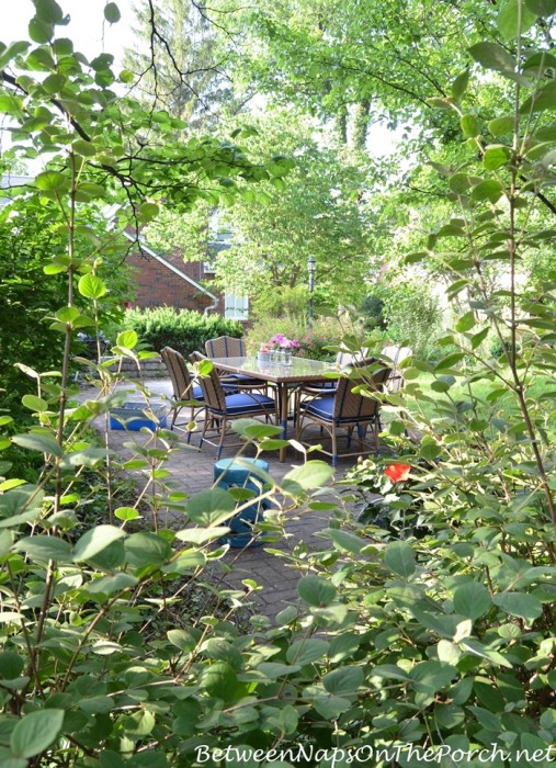 Deck “Before And After” with Sherwin Williams Lodge Brown Solid Stain ...