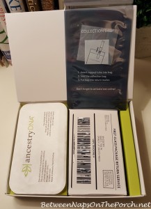 How To Test Your DNA To Discover Your Ancestry