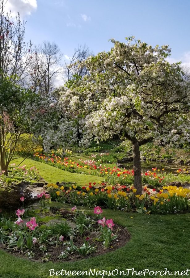 A Spring Visit to Beautiful Smith Gardens, Oakwood, Ohio
