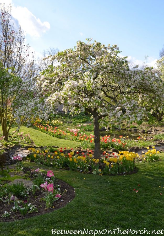 A Spring Visit to Beautiful Smith Gardens, Oakwood, Ohio