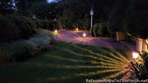Love These Starry, Bright Solar Pathway Lights & They Were Super Easy ...