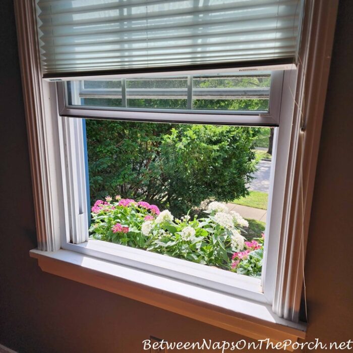 Reglazing, Refinishing The Bathtub—How Does It Look? Plus, Hummingbird ...