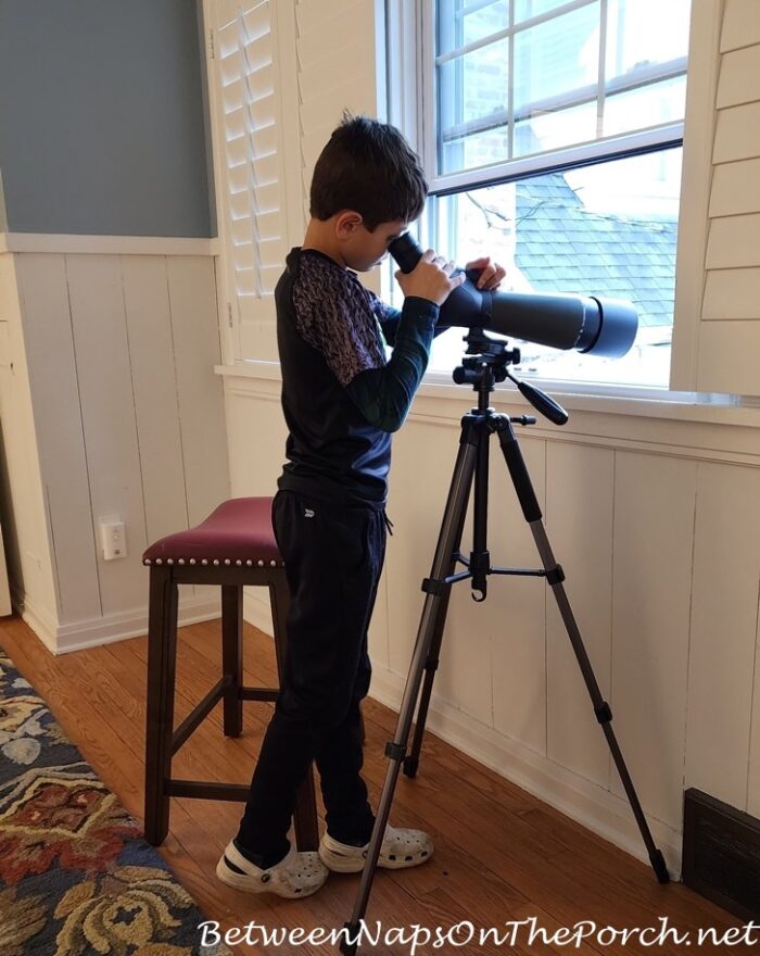 Love This New Feeder, Delish Popcorn & The Spotting Scope Is Pretty ...