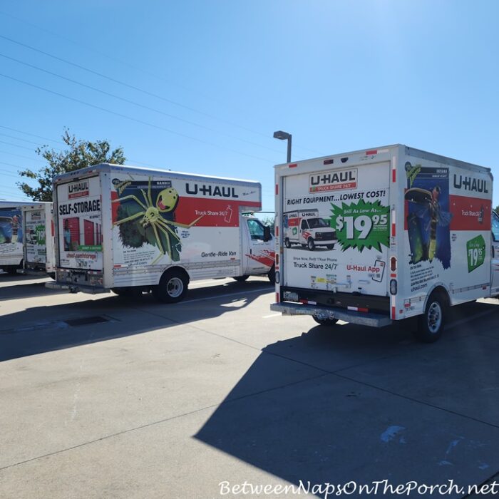 My Crazy Moving Adventure & The Awesome Discovery I Made In The Process!